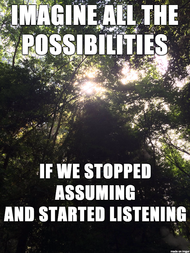 Enlightening Meme She Ra: Princess Of Inspirational Memes?